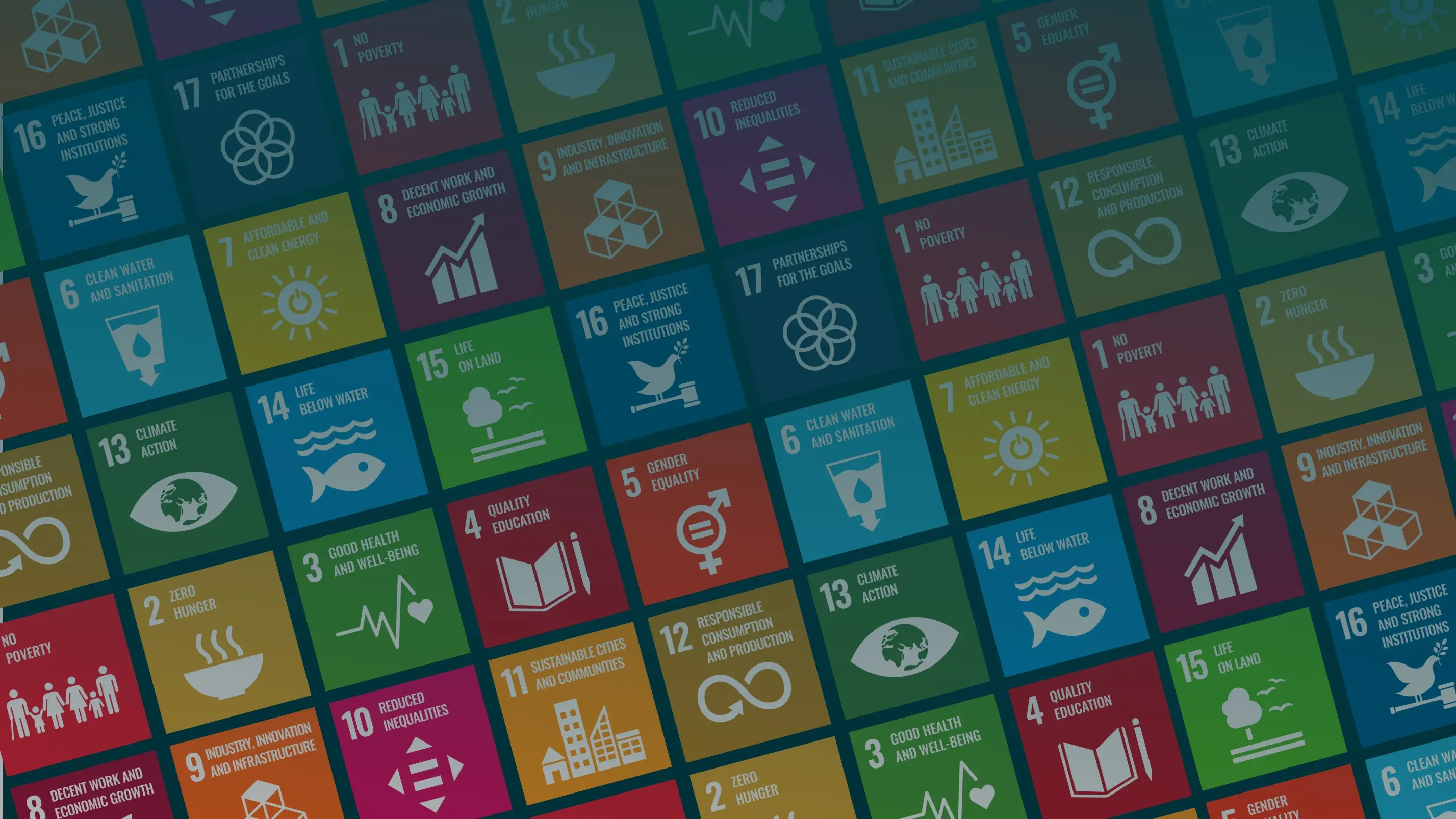 Sustainable Development Goals
