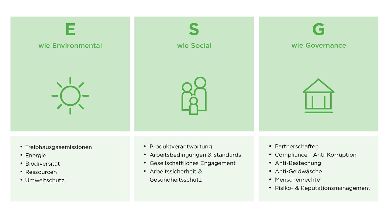 ESG-Kriterien: Definition & Überblick